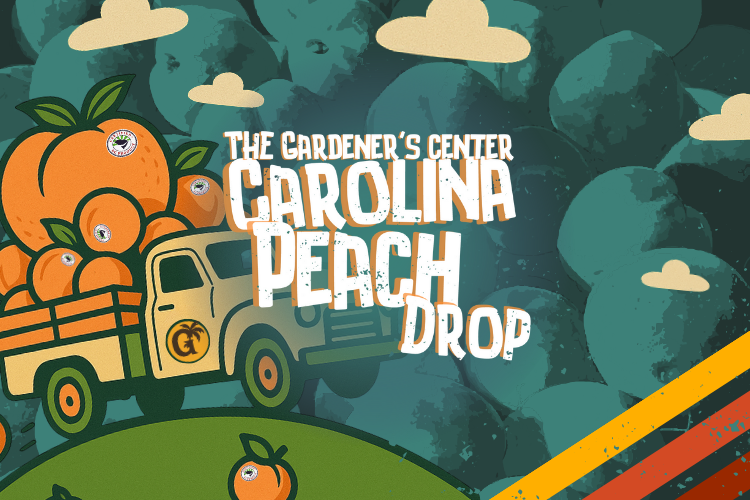 The Carolina Peach Drop – The Gardener's Center